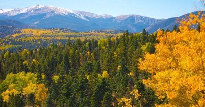 Top 5 Spots to Peep Fall Foliage in Red River | Red River, NM